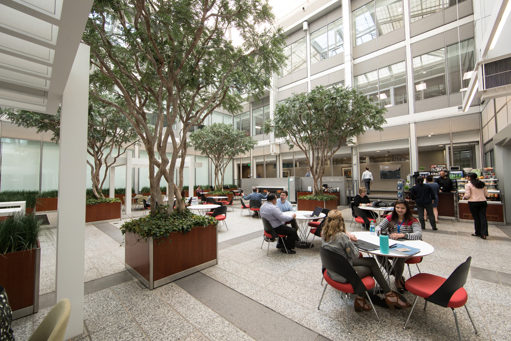 Working with Heart: General Mills’ approach to ways of working ...